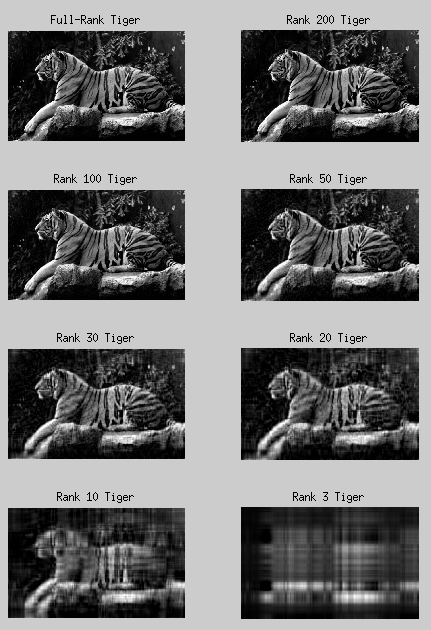 Linear Algebra for Data Science - A comprehensive guide for beginners