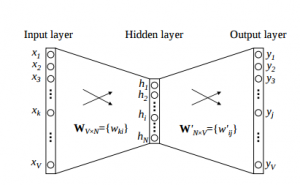 Understanding Word Embeddings: From Word2Vec to Count Vectors