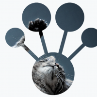 CatBoost | CatBoost Categorical Features
