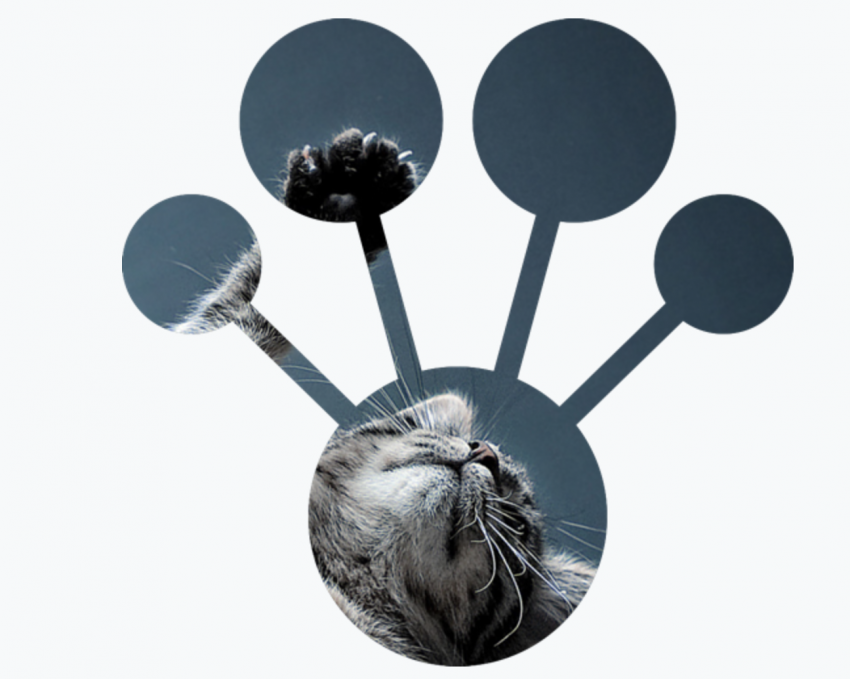CatBoost | CatBoost Categorical Features
