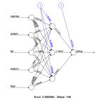 Building Neural Network in R from the Scratch