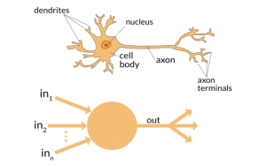 Activation Functions | Fundamentals Of Deep Learning