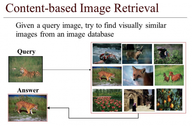 Information Retrieval | Introduction To Information Retrieval
