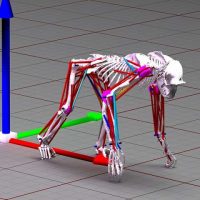 Machine Learning is Helping Researchers Create Lifelike Animal Simulations