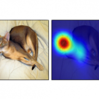 CNN Visualization | Methods Of Visualization