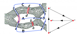 Introduction to Graph Theory | Graphs in Python