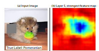 CNN Visualization | Methods Of Visualization