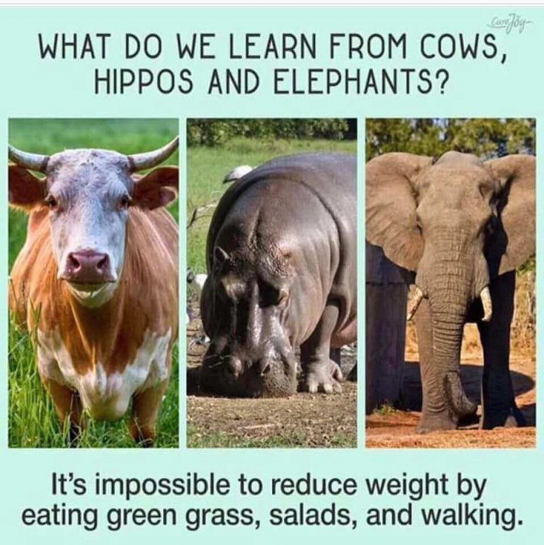 Unsupervised Deep Learning | Deep Learning Essentials