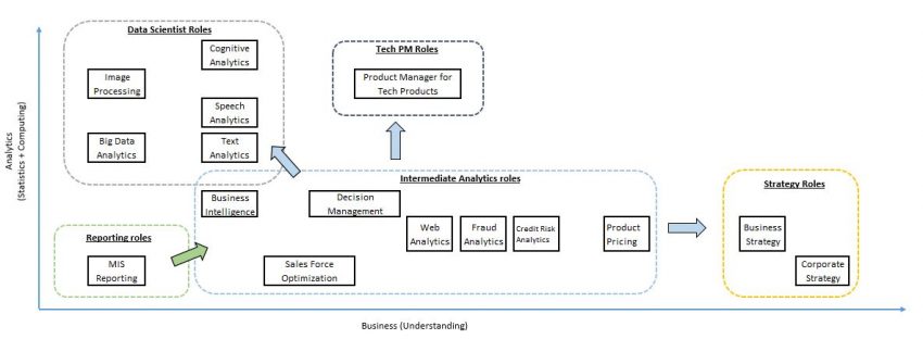 Career paths in Business Analytics and Data Science World