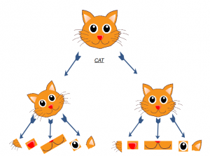 Capsule Networks | Deep Learning Capsule Network