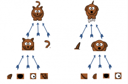 Capsule Networks | Deep Learning Capsule Network