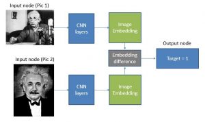 How ANNs Conceptualize New Ideas using Embedding
