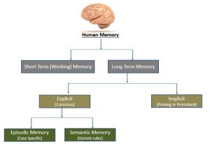 Creating Human Memory Structure in RNN | LSTM vs GRU