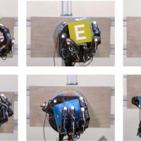 Dactyl - OpenAI's Robot Hand trained itself without any Human Learning ...