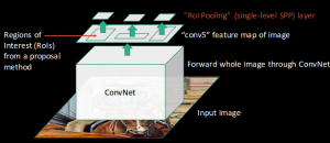 Introduction to Object Detection Algorithms