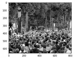 Crowd Counting | Building Crowd Counting Model Using Python