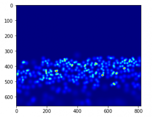Crowd Counting | Building Crowd Counting Model Using Python
