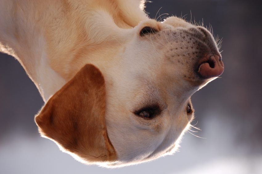 OpenCV Functions | OpenCV For Computer Vision