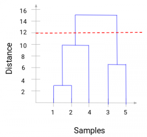 Hierarchical Clustering for Beginners