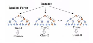 Interpretable Machine Learning | LIME In Machine Learning
