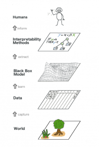 Interpretable Machine Learning | LIME In Machine Learning
