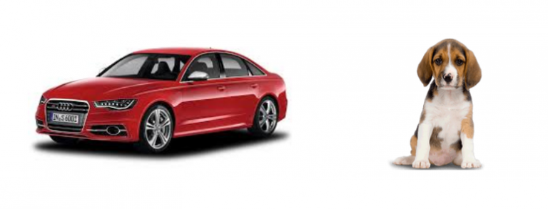 Hog Feature: Histogram of Oriented Gradients, Extraction & More