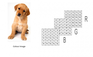 Feature Extraction Using Python, Image Feature Extraction