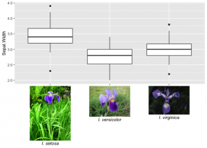 Data Science Projects on GitHub | Machine Learning Projects
