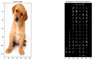 Hog Feature: Histogram of Oriented Gradients, Extraction & More