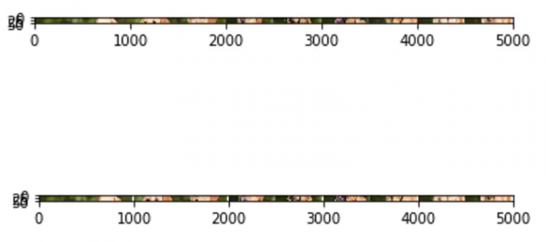 Convolutional Neural Network Pytorch | CNN Using Pytorch