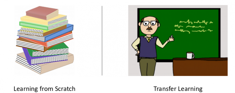 PyTorch Transfer Learning Guide with Examples
