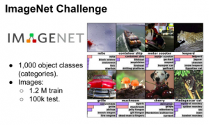 PyTorch Transfer Learning Guide with Examples