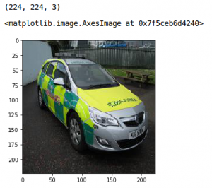 Image Augmentation | Pytorch Image Augmentation