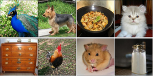 A Comprehensive Learning Path For Computer Vision