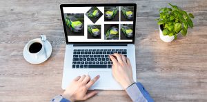 Image Augmentation | Pytorch Image Augmentation