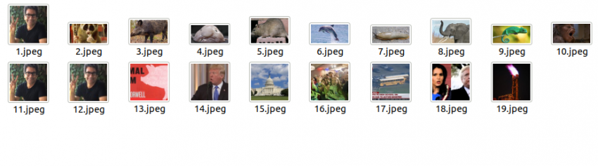 Model Deployment | Image Classification Model Using Flask