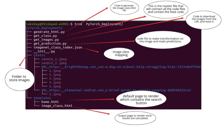 Model Deployment | Image Classification Model Using Flask