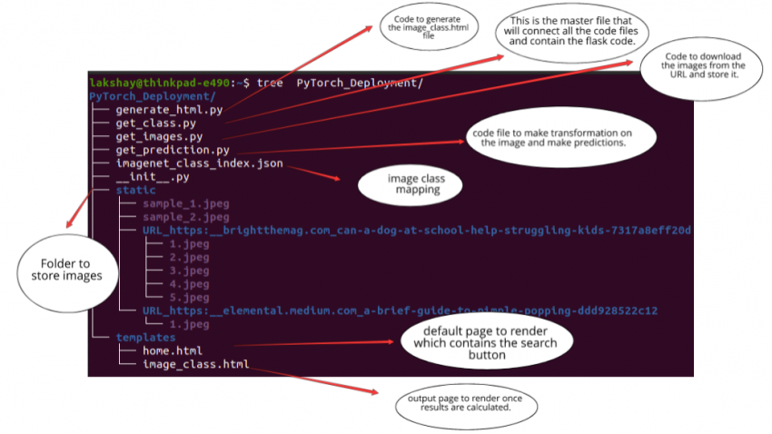 Model Deployment Image Classification Model Using Flask