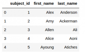 Using Pandas in Python for Data Preprocessing | Speed up Pandas