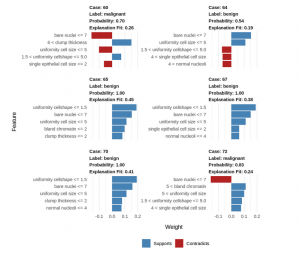 LIME | Machine Learning Model Interpretability using LIME in R