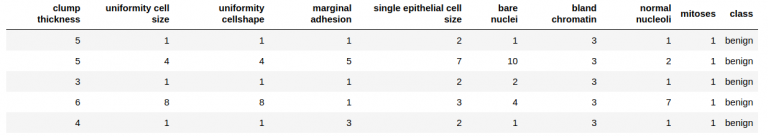 LIME | Machine Learning Model Interpretability using LIME in R