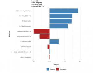LIME | Machine Learning Model Interpretability using LIME in R