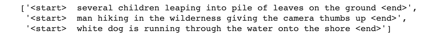 Attention Mechanism For Image Caption Generation in Python