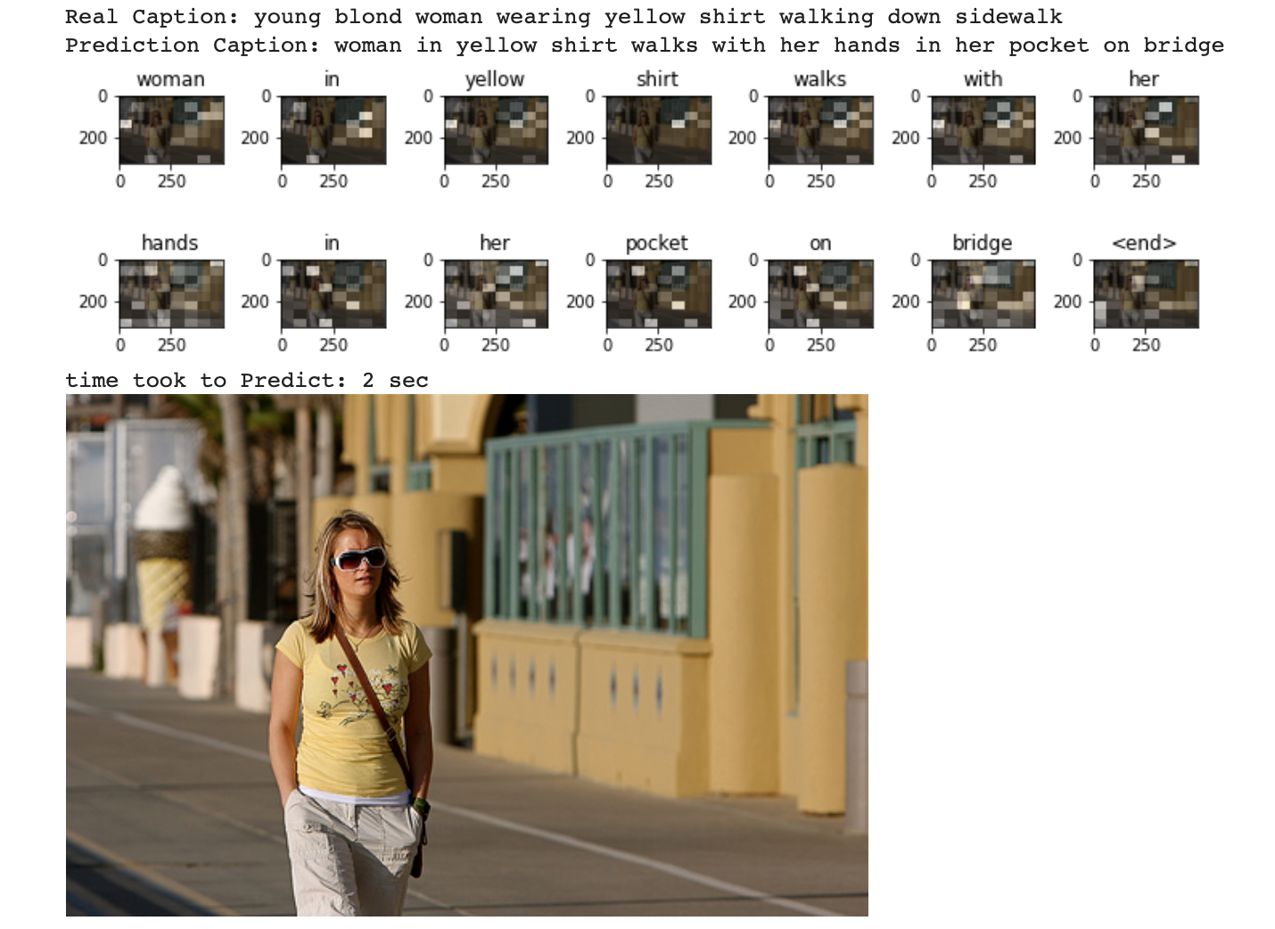 Attention Mechanism For Image Caption Generation in Python