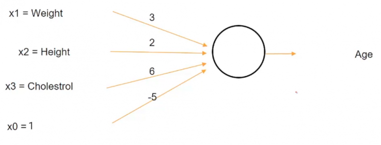 Components of Neural Network | Neural Network Layers & Neurons