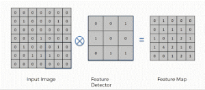 Cat Dog classification using CNN : Beginner-friendly Project