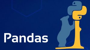 30 Quick Pandas Tips and Tricks for Beginners