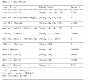 Image Classification Using CNN -Understanding Computer Vision