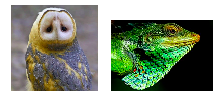 Guide to Edge Detection Algorithms - Analytics Vidhya