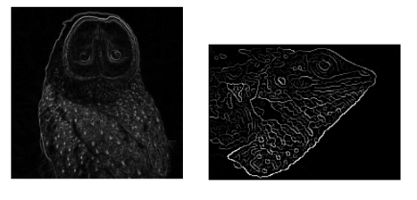 Guide to Edge Detection Algorithms - Analytics Vidhya